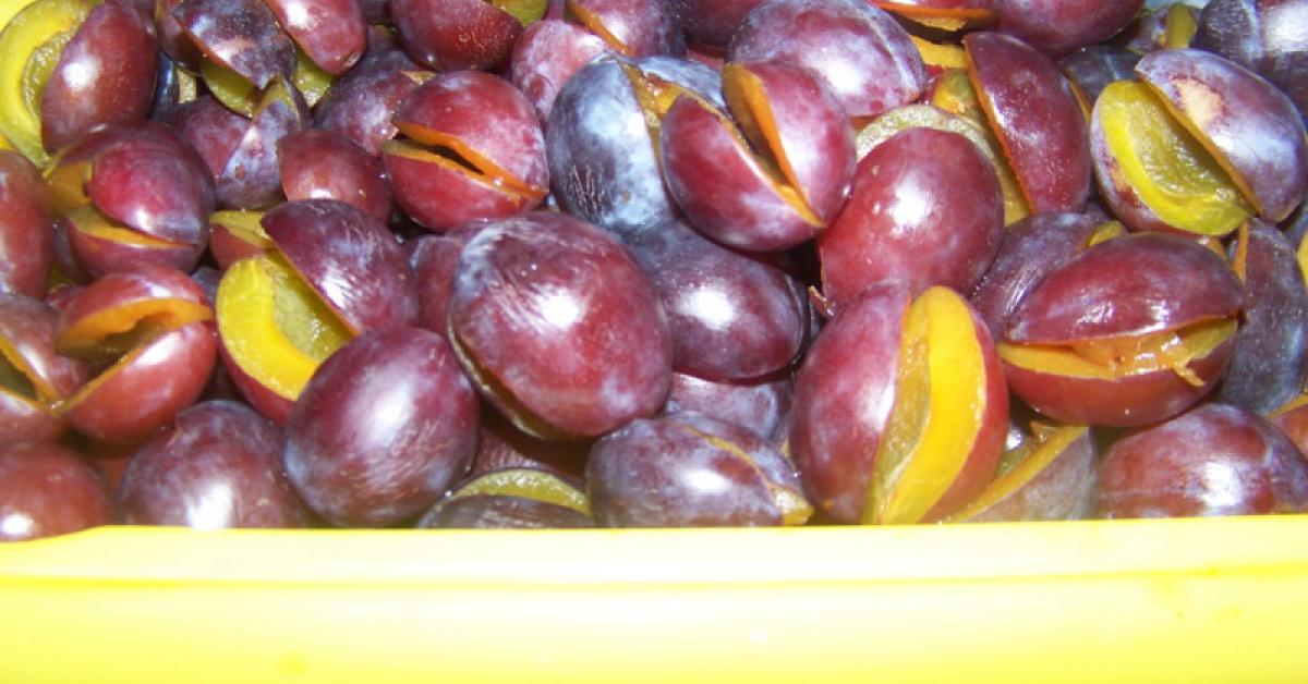 Nutelka ze śliwek węgierek jest to przepis stworzony przez użytkownika ...